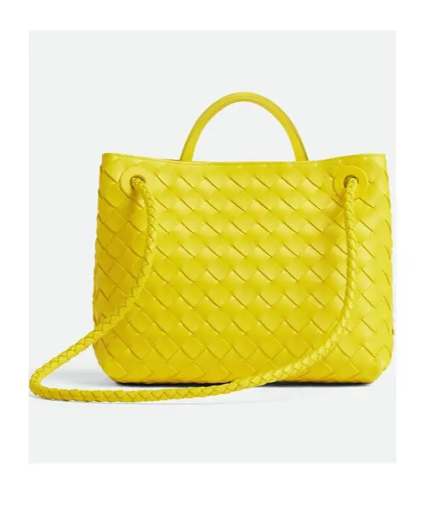 Bottega Veneta Small Andiamo Bag