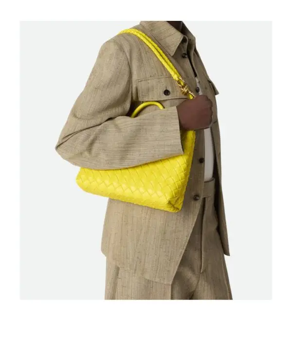 Bottega Veneta Small Andiamo Bag