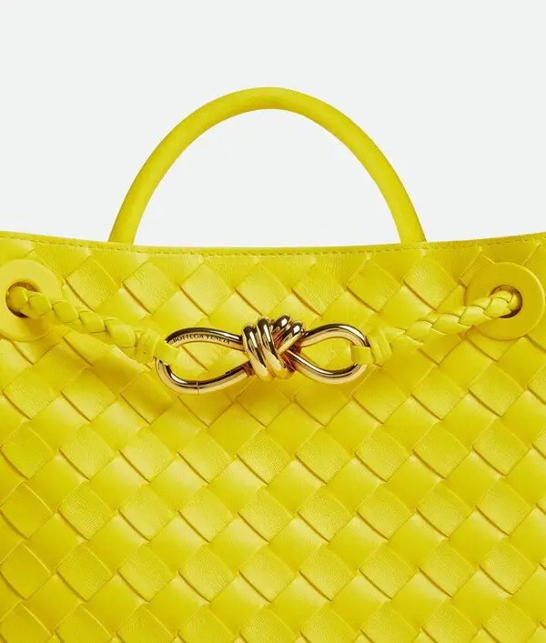 Bottega Veneta Small Andiamo Bag