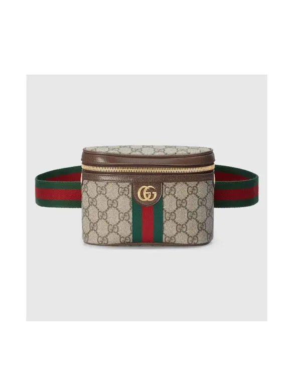 Gucci Ophidia Belt Bag