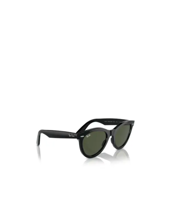 Ray-ban Wayfarer Sunglasses