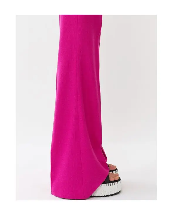 Chloé Pleated Flared Trousers - Pink