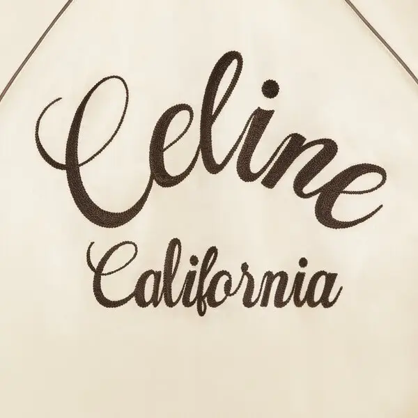 Celine Souvenir Teddy Jacket In Flowing Satin