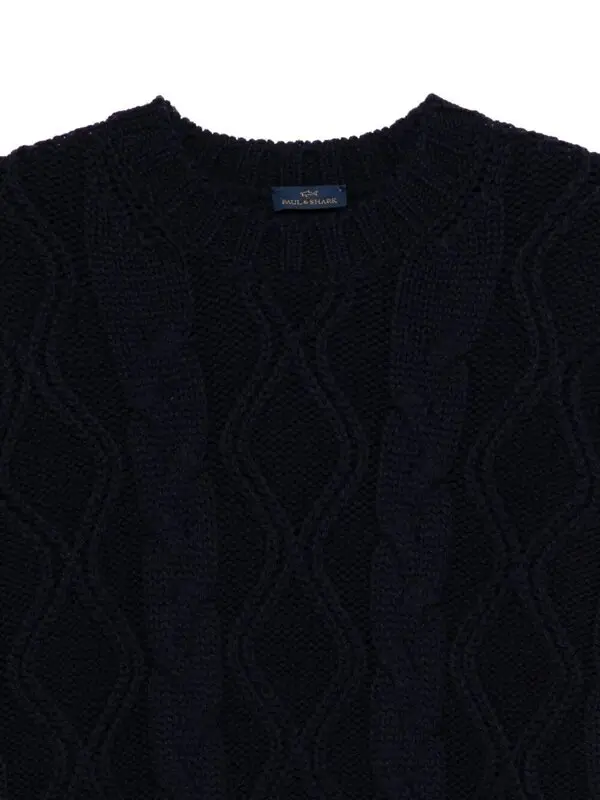 PAUL  SHARK Paul & Shark Merino Wool Cable Knit Crew Neck Sweater