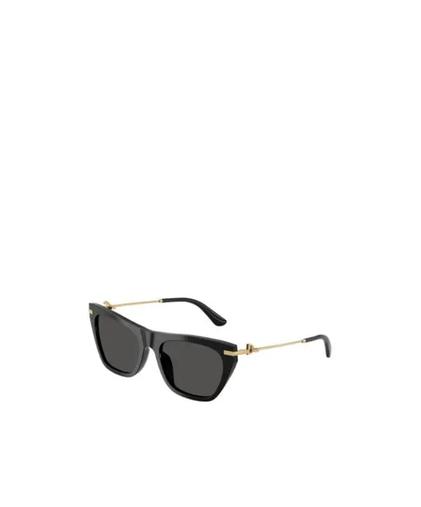 Dolce & Gabbana Full Rim Sunglasses