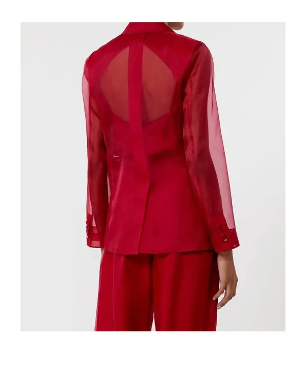 Max Mara Double-breasted Sheer Jacket