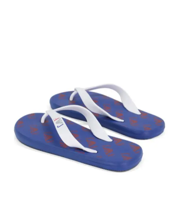 Emporio Armani Logo Detail Thong Sandals - Blue