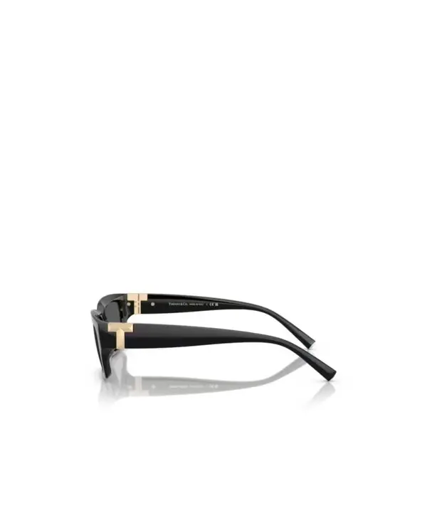 TIFFANY  CO. Tiffany & Co. Rectangle Frame Sunglasses