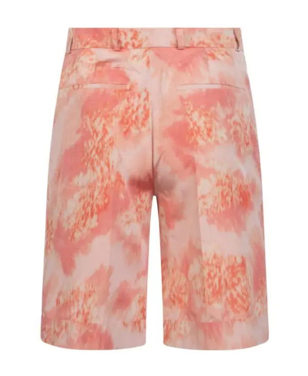 Dior Printed Pleated Shorts