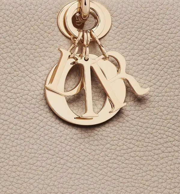 Dior Medium Lady D-sire My Abc Bag