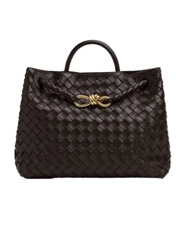 Bottega Veneta Andiamo Medium Shoulder Bag - Fondant