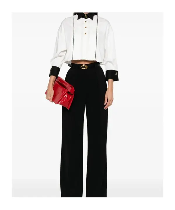 Elisabetta Franchi Pleated Shirt