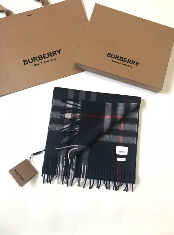 Burberry Check-pattern Fringed-edge Scarf - Blue