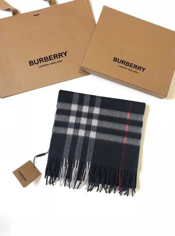 Burberry Check-pattern Fringed-edge Scarf - Blue