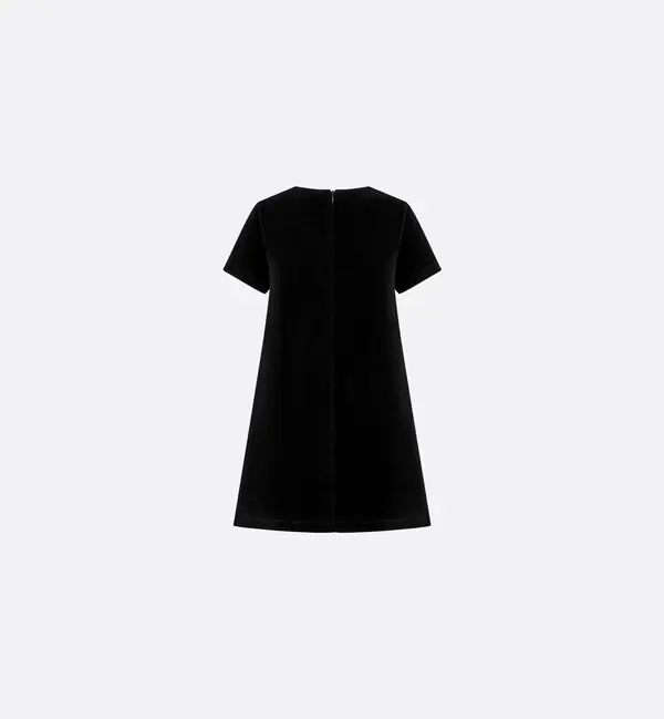 Dior A-line Dress With Embroidered Bee
