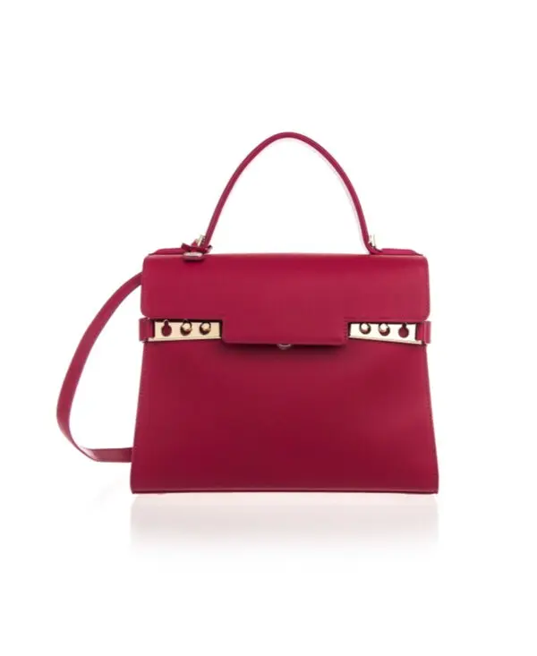 Delvaux Logo Handbag - Red