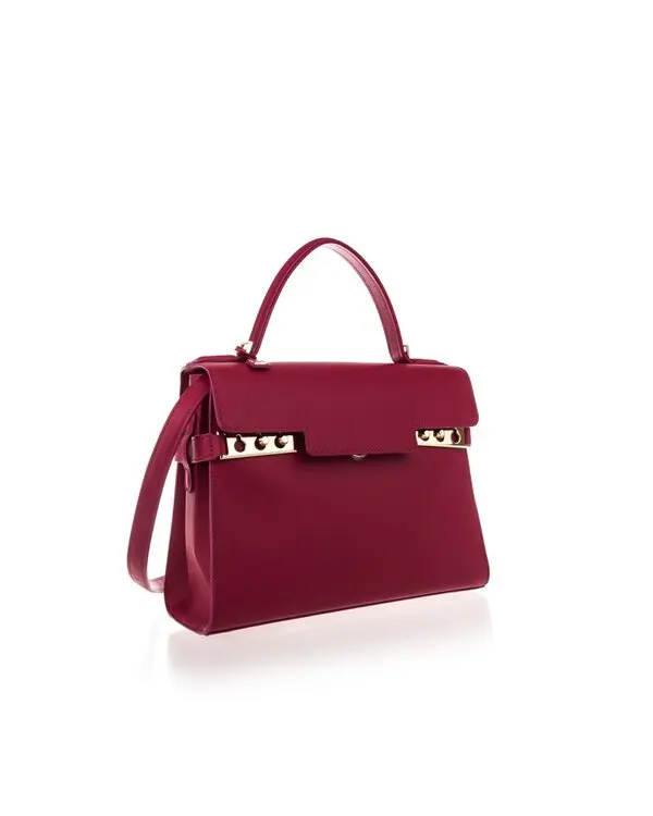 Delvaux Logo Handbag - Red
