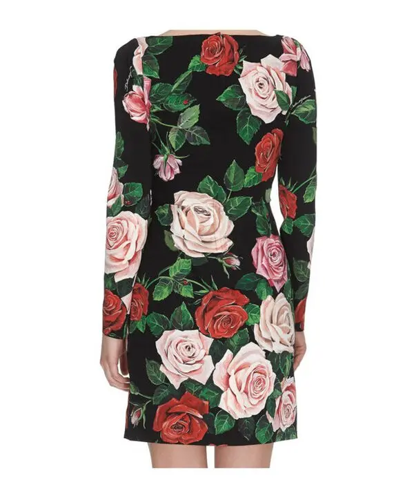 Dolce & Gabbana Floral Print Long-sleeved Dress
