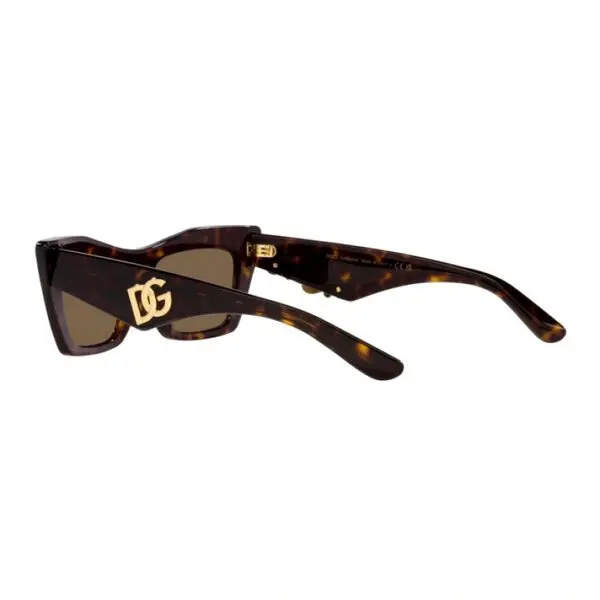 Dolce & Gabbana Tortoiseshell Cat Eye Sunglasses With Dg Logo