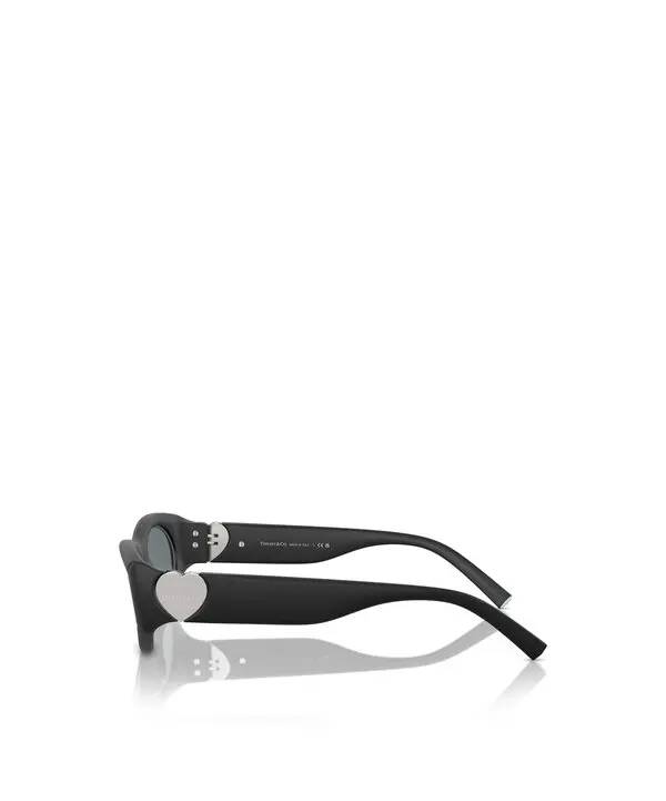TIFFANY  CO. Tiffany & Co. Full Frame Sunglasses
