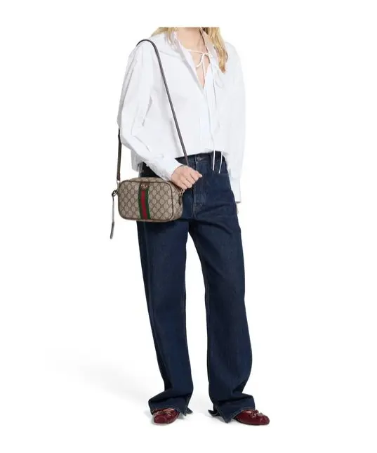 Gucci Ophidia Small Camera Bag - Beige/dark Brown