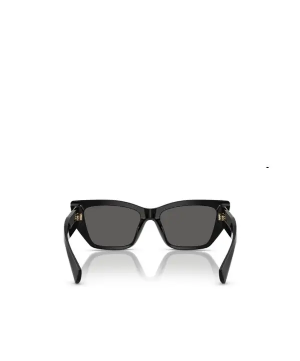TIFFANY  CO. Tiffany & Co. Full Rim Sunglasses