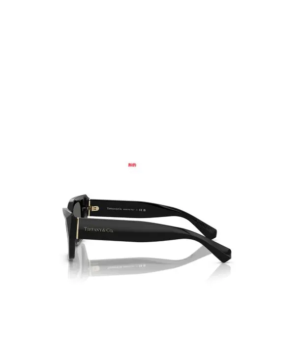 TIFFANY  CO. Tiffany & Co. Full Rim Sunglasses