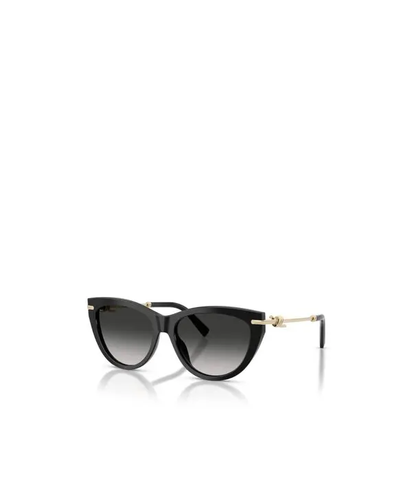 TIFFANY  CO. Tiffany & Co. Geometric Frame Sunglasses
