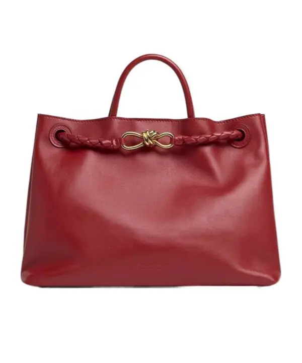 Bottega Veneta Andiamo - Rosewood/space