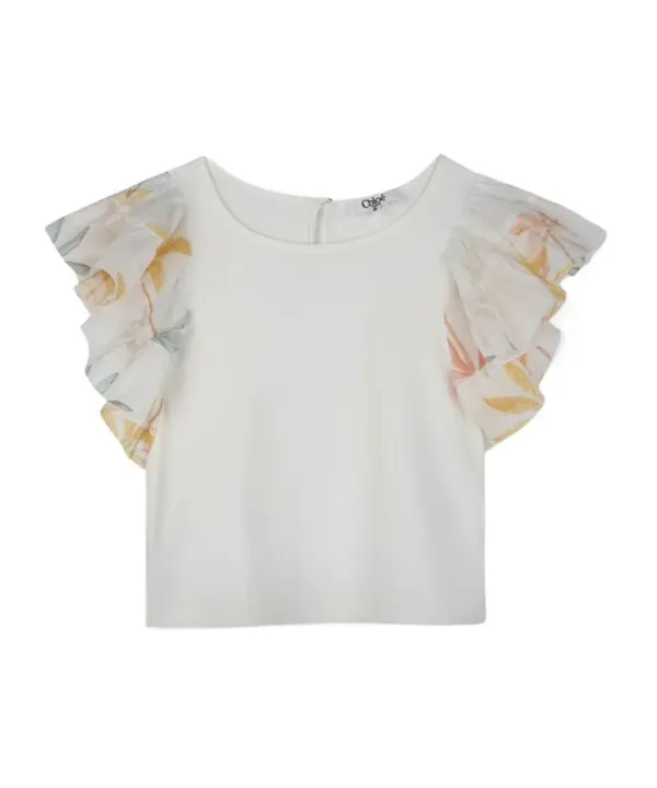 Chloé Blouse With Ruffle Sleeves - Multicolor