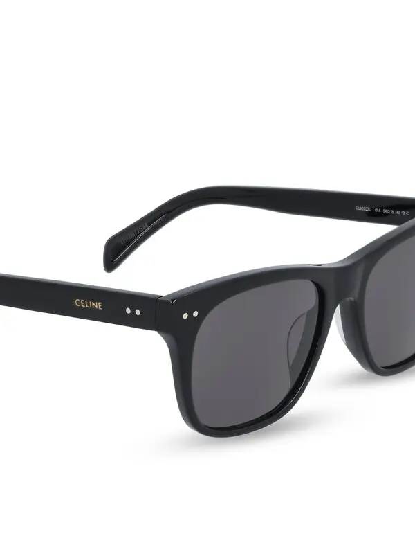 Celine Acetate Frame 59 Sunglasses