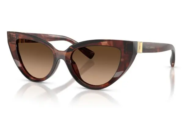 Dolce & Gabbana Full Rim Cat Eye Sunglasses