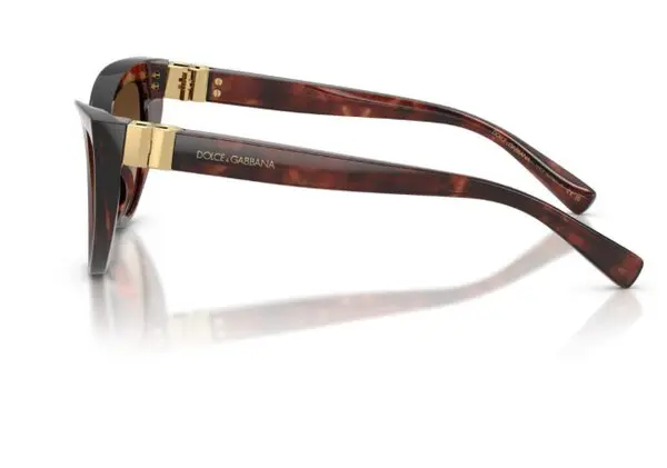 Dolce & Gabbana Full Rim Cat Eye Sunglasses