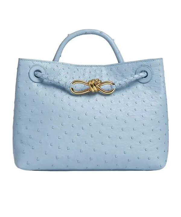 Bottega Veneta Small Andiamo Top Handle Bag In Ostrich Leather