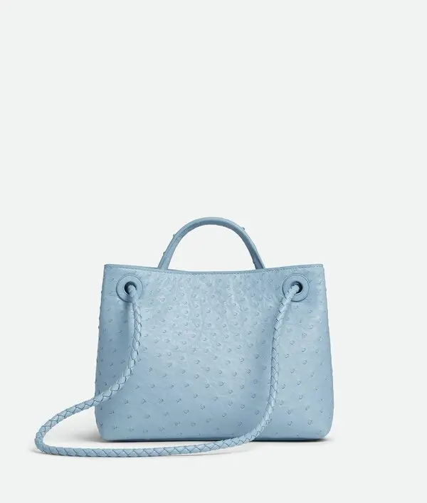 Bottega Veneta Small Andiamo Top Handle Bag In Ostrich Leather