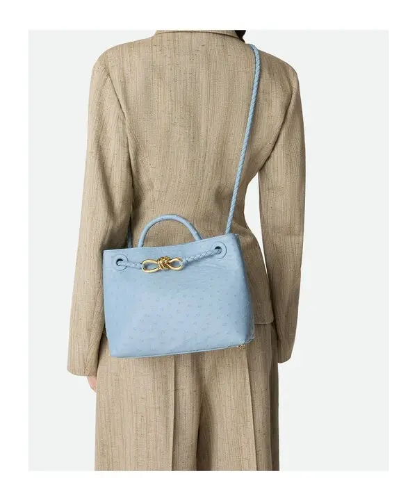 Bottega Veneta Small Andiamo Top Handle Bag In Ostrich Leather