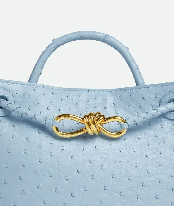 Bottega Veneta Small Andiamo Top Handle Bag In Ostrich Leather