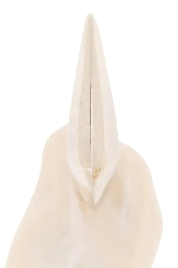 Bottega Veneta Asymmetrical Pearl Single Earring