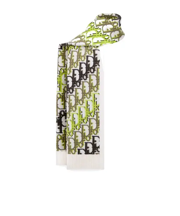 Dior Oblique Scarf - Multi-color