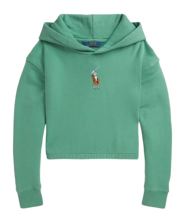 Polo Ralph Lauren Logo Embroidered Hoodie