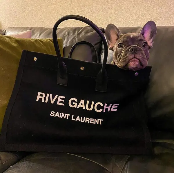 Saint Laurent Rive Gauche Tote Bag - Black