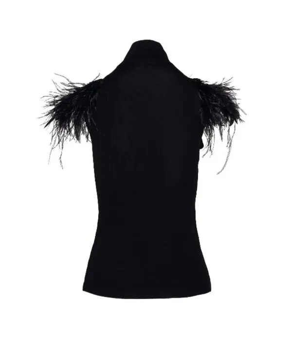 Alberta Ferretti Feather-trimmed High Neck Blouse