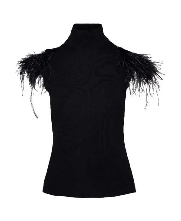 Alberta Ferretti Feather-trimmed High Neck Blouse