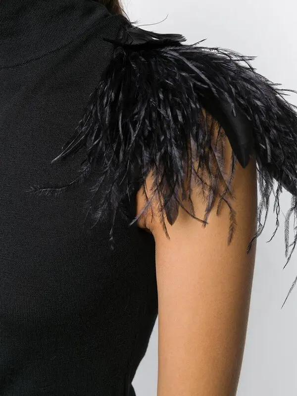 Alberta Ferretti Feather-trimmed High Neck Blouse