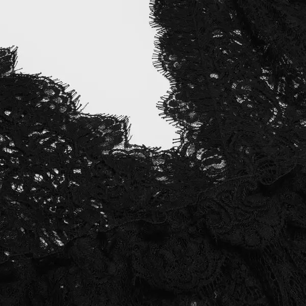 Celine Long Triomphe Dress In Cotton Lace