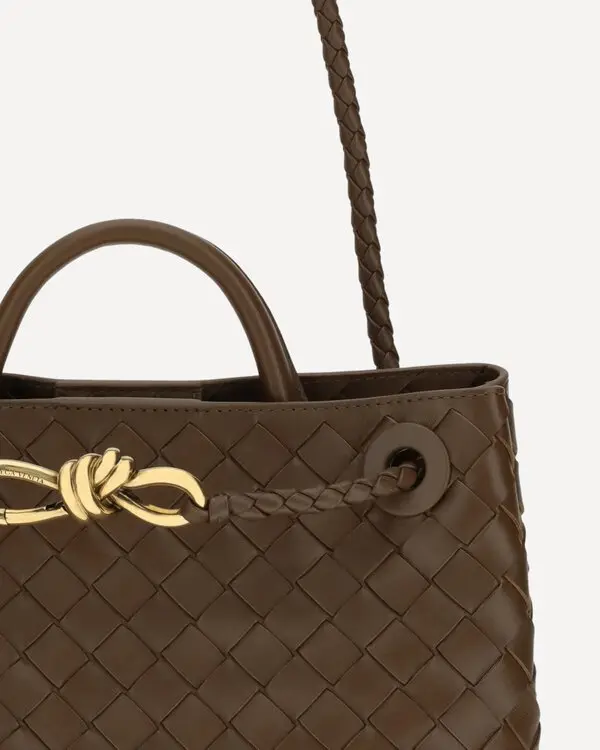 Bottega Veneta Andiamo Small Woven Tote Bag - Brown
