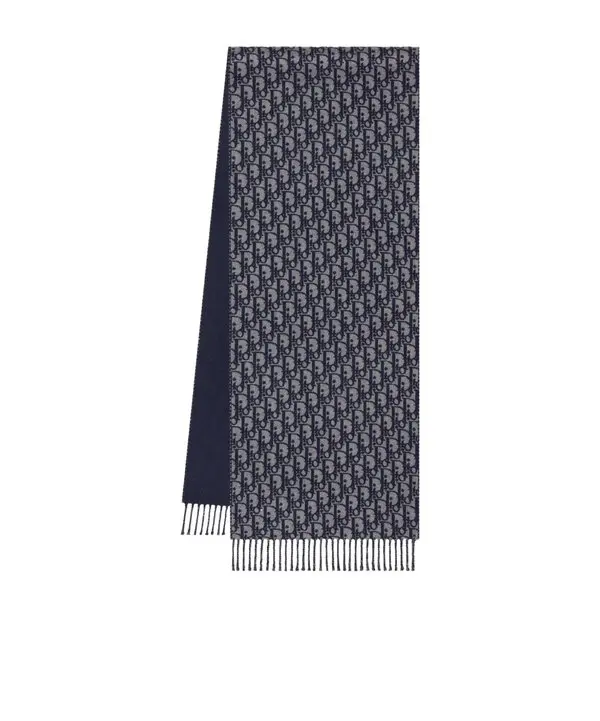 Dior Fringed Edge Scarf