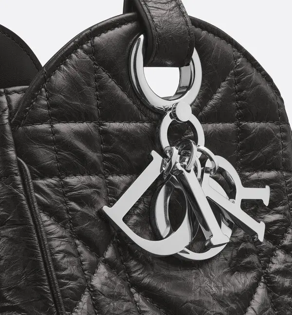 Dior Small D-motion Hobo Bucket Bag