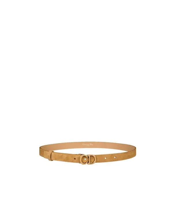 Dior Saddle Belt - Light Gold