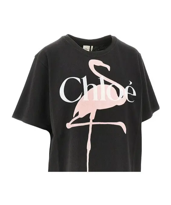 Chloé Generous Logo Crewneck T-shirt - Ash Black